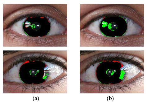 irisdensenet robust iris segmentation using densely connected fully