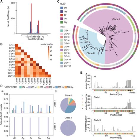 High Diversity Analysis Of Cento Repeats In The Rice Centromere Map