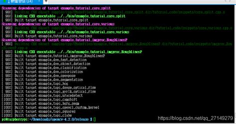 树莓派安装opencv4 2 0（2020 02 13 raspbian buster） csdn博客