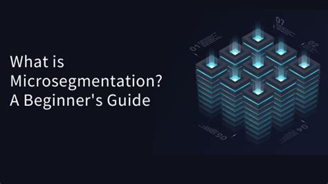 What Is Microsegmentation A Beginner S Guide Instasafe Blog