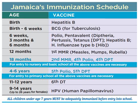Bcg Vaccine Vaccination Hub