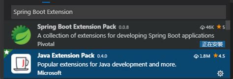 VsCode搭建Java开发环境Spring Boot项目创建运行调试 ice ko 博客园