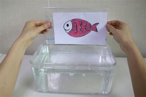 물 속에 넣으면 사라지는 그림 유아 과학 실험 과학실험 세상의 빛