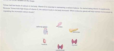 solved conect location on the image tomas had low levels of calcium
