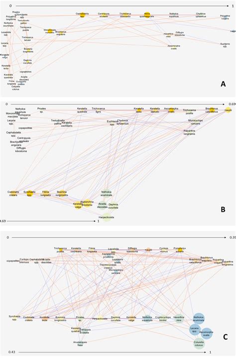 Clustering Coefficient Distribution In The A Ww B Mw And C Cw