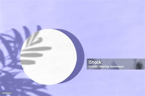 원통형 흰색 연단 열대 야자 수 잎의 그림자와 보라색 배경에 장면 매우 페리 색상 2022 보라색 배경에 대한 스톡 사진 및 기타 이미지 Istock