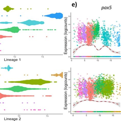 Pseudotime Analysis Of B Lymphocyte Cells Reveals Two Lineages With Download Scientific Diagram