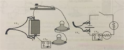 Solved Now Suppose You Connect A Second Bulb In The Circuit Chegg Com