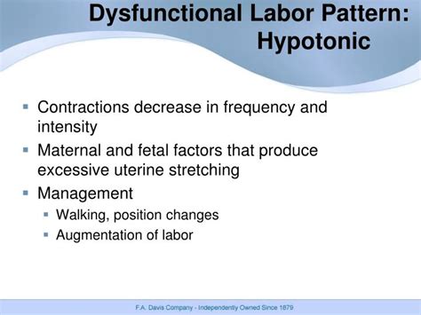 Ppt Chapter 12 Processes And Stages Of Labor And Birth Powerpoint