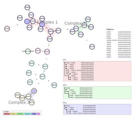 Minimal Expansion Tree Clonal Complexes And Singletons Clinical