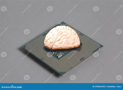 Human Brain Anatomical Model With CPU Processor Microchip On Gray Background Stock Image