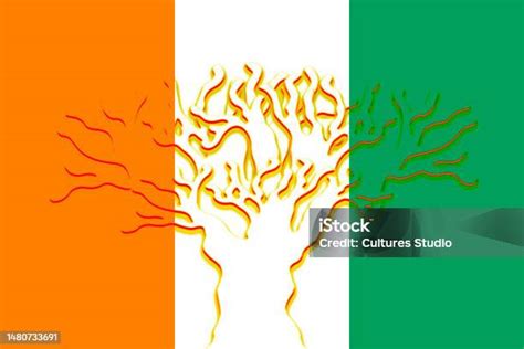 코트디부아르 아이보리 국기에 인쇄된 바오밥나무 나무의 실루엣 주황색 흰색 및 녹색 색상 그림 0명에 대한 스톡 벡터 아트 및 기타 이미지 Istock
