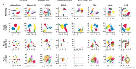scdeepcluster clustering single cell rna seq data with a model based deep learning approach论文解读