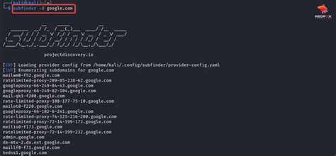 Subdomain Enumeration Leveraging Web Architectures Power Redfox Security Pen Testing Services