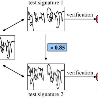 A Signature Verification Model Seeks To Determine Whether The Test Download Scientific Diagram