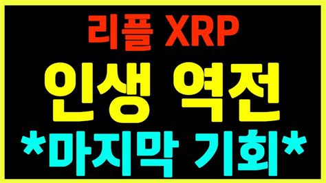 리플 물들어 올 때 노 저어야죠 고래들 움직이기 시작했습니다 Youtube