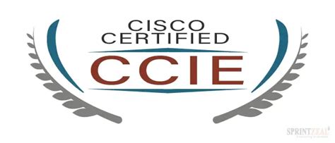 Ccna Routing And Switching Logo