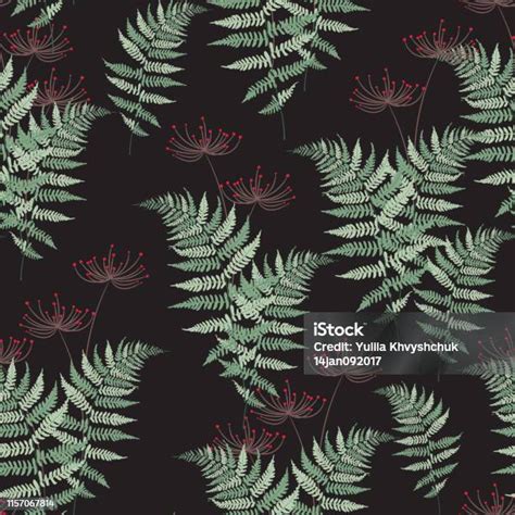 고사리 프론드 허브 열대 숲 식물 잎 원활한 벡터 배경 그림 열대 고사리 숲 잔디 허브입니다 검은 색 배경입니다 0명에 대한 스톡 벡터 아트 및 기타 이미지 Istock