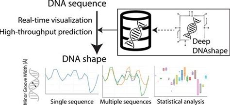 Deeplearning Bioinformatics Genomics Dna Machinelearning
