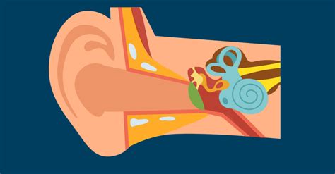 Benign Paroxysmal Positional Vertigo Bppv