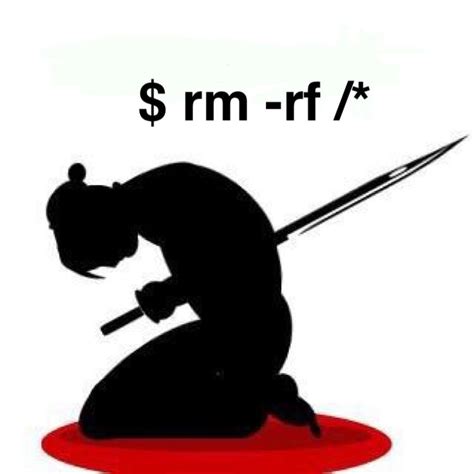 Alt F R ProgrammerHumor