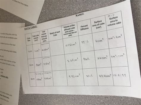 Diffusion In Agar Cubes Cell Size Lab Manroop S Blog