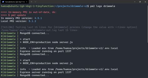 how to install and set up pm2 on linux servers