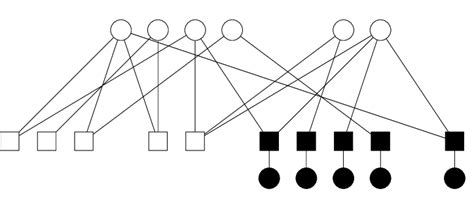 the factor graph of a raptor code white circles represent ldpc