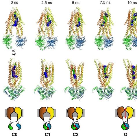 A Front Top Row And Side Bottom Row Views Of Snapshots Taken At 0