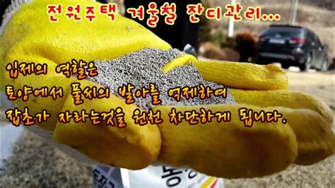 잔디관리방법 겨울철 잔디관리전원주택 잔디관리방법 Youtube