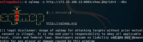 渗透测试 Sqlmap工具sqlmap默认yes Csdn博客 渗透测试 Sqlmap工具sqlmap默认yes Csdn博客