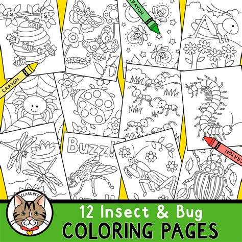 Insect And Bug Coloring Pages Made By Teachers