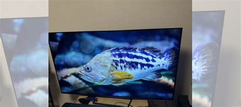 Телевизор hisense 65a85h купить в Москве | Электроника | Авито
