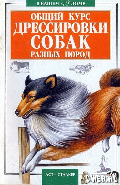 Руководства скачать бесплатно. Страница 3
