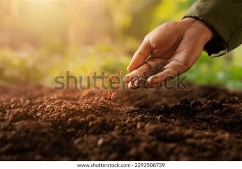 1219 Biodiversity Farming Plant Growth Royalty Free Images Stock