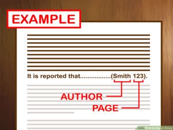 MLA In Text Citations English Composition I MLA In Text Citations English Composition I