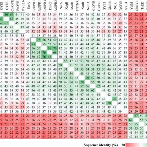 The Sequence Identity Matrix Of Oyes With Reported Structures Multiple Download Scientific