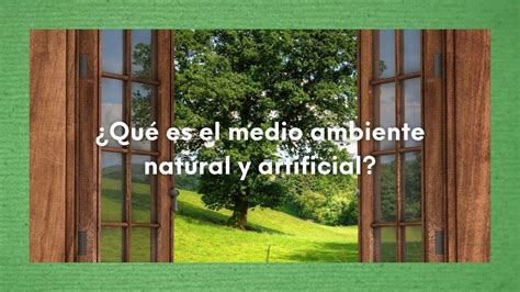Qué Pasa Si No Cuidamos El Medio Ambiente ¡más De Esperado