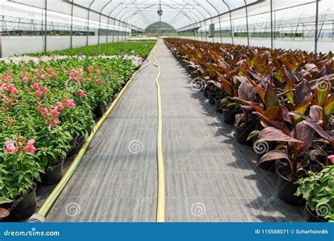 Greenhouse With Microclimate Control Royalty Free Stock Image