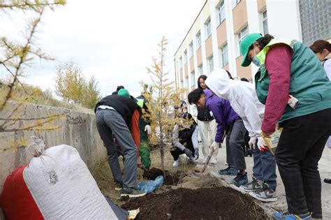 Сургууль цэцэрлэгийн орчны ногоон байгууламжийг нэмэгдүүлнэ
