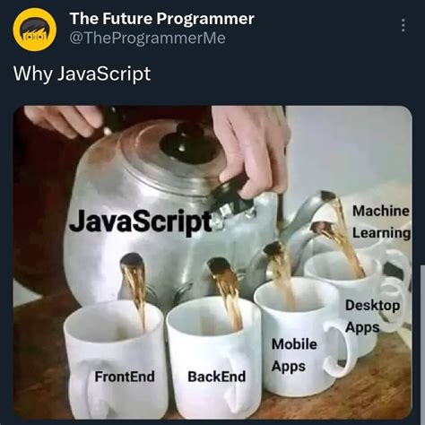the crazy programmer on linkedin javascript
