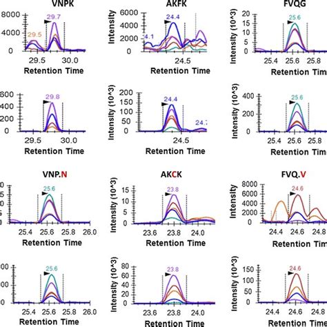 Xics Of Spop Wt Peptides In Mutant Region Detected In Hek293t Cell Download Scientific Diagram