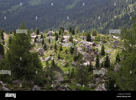 Forte Tre Sassi Fotos Und Bildmaterial In Hoher Auflösung Alamy