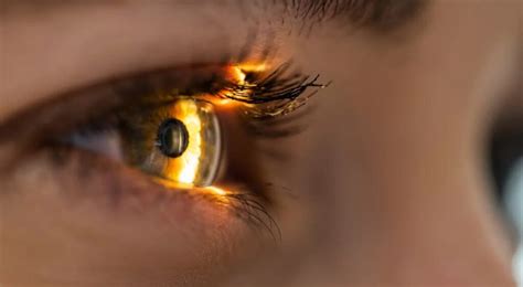 This Ai Tech Scans Retina To Determine Heart Disease In Less Than 60 Secs