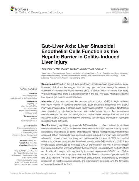 PDF GutLiver Axis Liver Sinusoidal Endothelial Cells Function As