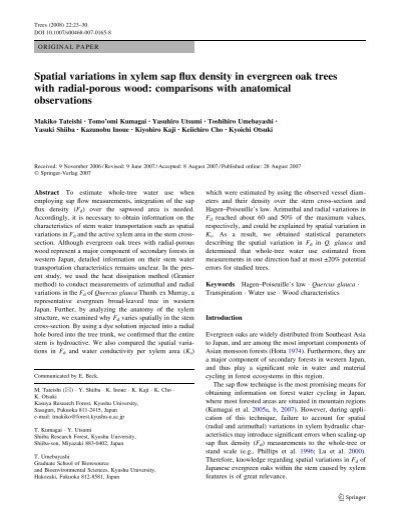 Spatial Variations In Xylem Sap Flux Density In Evergreen Oak Trees