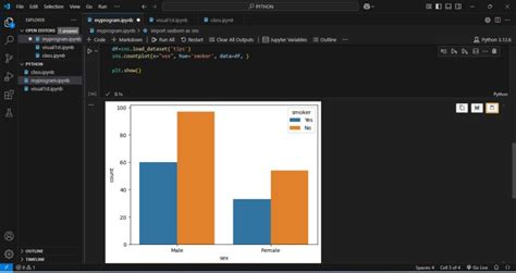 coeruniversity learningjourney python datavisualization… vijay kumar
