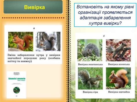 Адаптація як загальна властивість біологічних систем Властивості адаптацій Принцип єдності