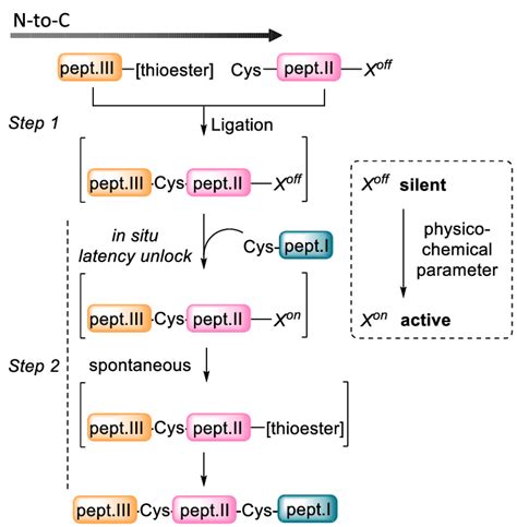 Concept Of Latency Illustrated With The One Pot Assembly Of Three Download Scientific Diagram