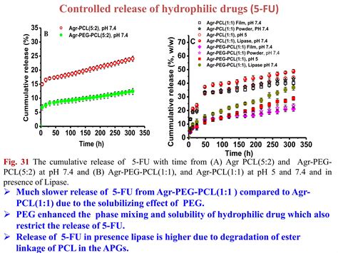 Design And Synthesis Of Polysaccharidescopolymers Based Amphiphilic Conetwork Gels For